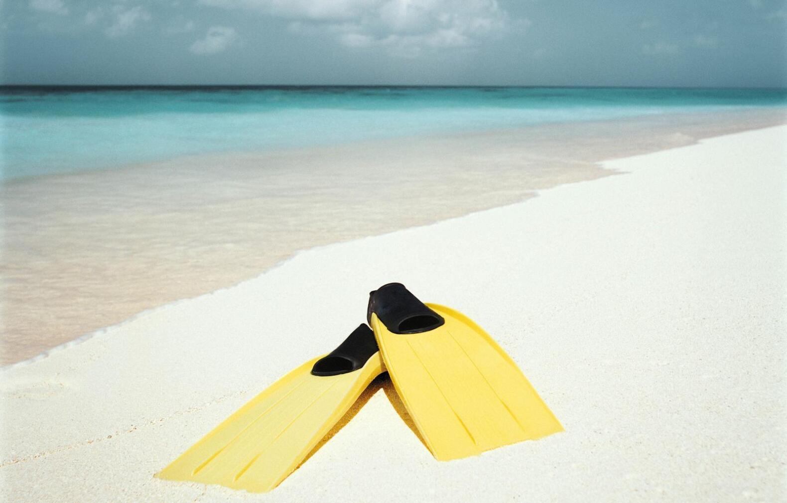 Filippinerna - de bästa dyken - Vagabond