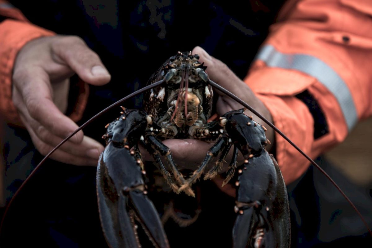 Västkusten på hösten – 20 favoriter från norr till söder - Vagabond