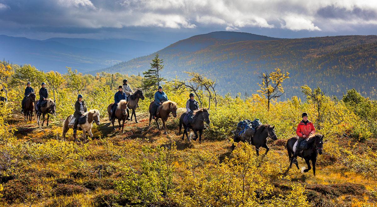 Guide: Ridsemester i svenska fjällen - Vagabond
